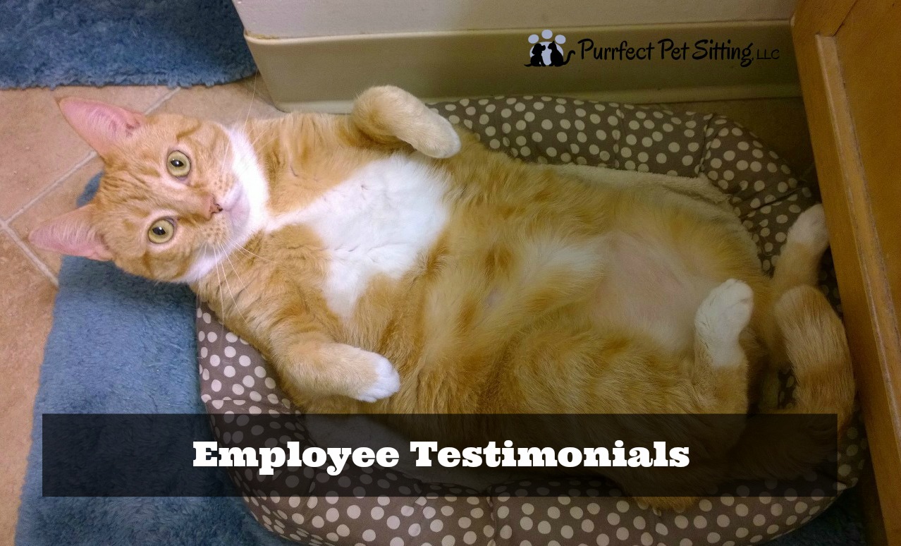 Employee Testimonials | Purrfect Pet Sitting, LLC/East Greenbush, NY