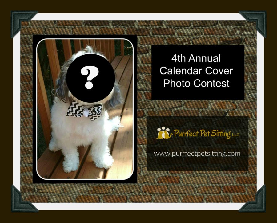 4th Annual Calendar Cover Photo Contest! | Purrfect Pet Sitting, LLC ...