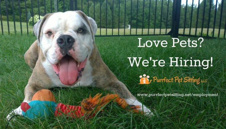 We are growing! Do you know someone who would make a great pet sitter ...